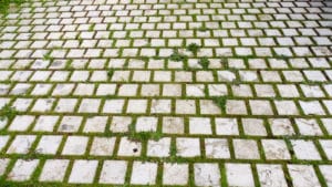 Le pavé enherbé : esthétisme, durabilité et perméabilité