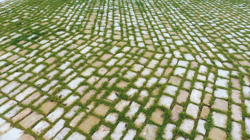 Le pavé enherbé : esthétisme, durabilité et perméabilité